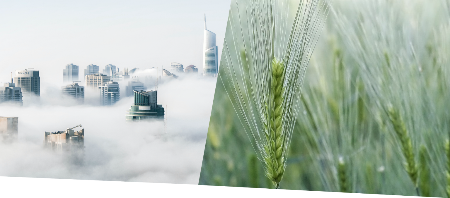 About Catalyst Group